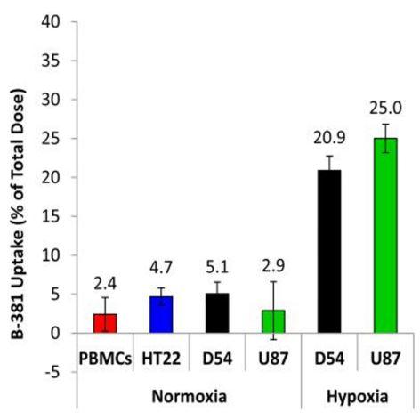 Research_Cancer Biology | Azab Lab | UT Southwestern, Dallas, Texas